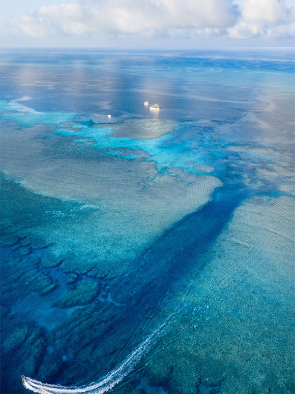 DIVERSITY CHARTERS ROWLEY SHOALS ATOLL CRUISE