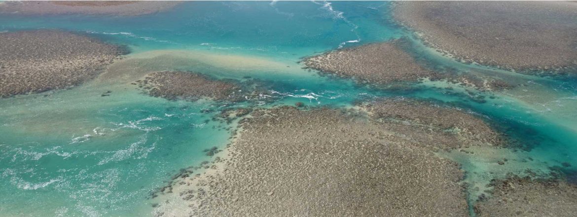 MONTGOMERY REEF & HORIZONTAL FALLS TOUR | Broome & Derby