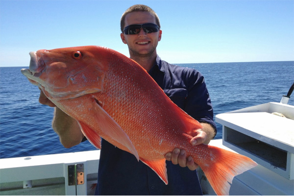 BROOME FULL DAY REEF FISHING CHARTERS | Fishing Tours