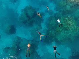 ODYSSEY 8 DAY ROWLEY SHOALS ITINERARY | Diving Rowley Shoals